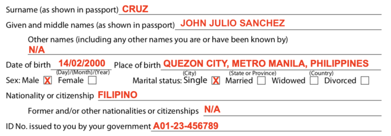 How to Fill Out the Japan Visa Application Form
