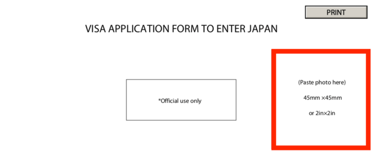 How to Fill Out the Japan Visa Application Form
