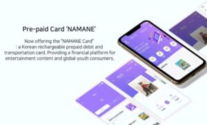 All About Namane Card in South Korea