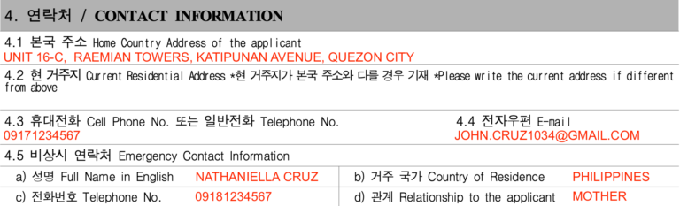 How to Fill Out the South Korea Visa Application Form