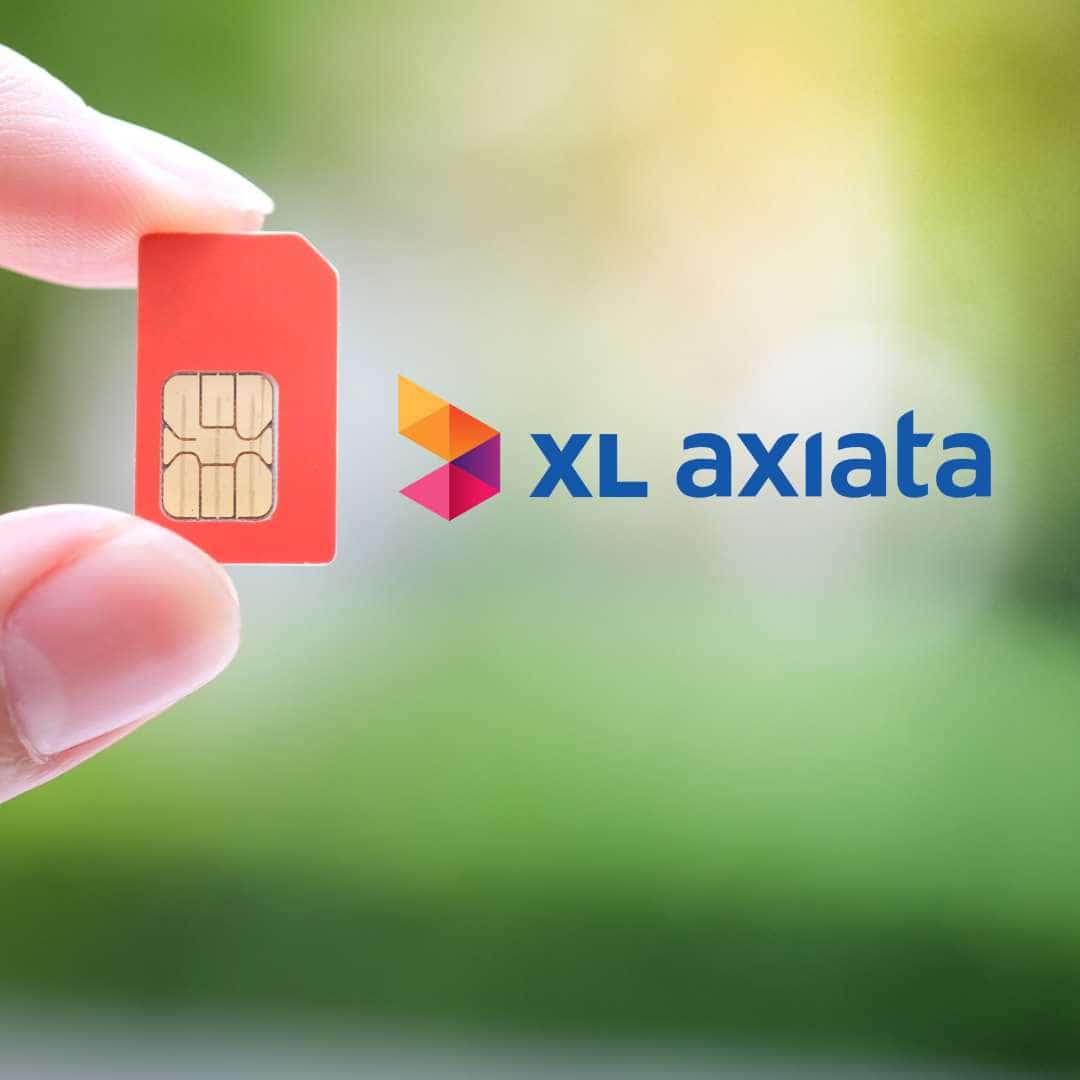 6 Best Bali Pocket WiFi & SIM Cards for Tourists