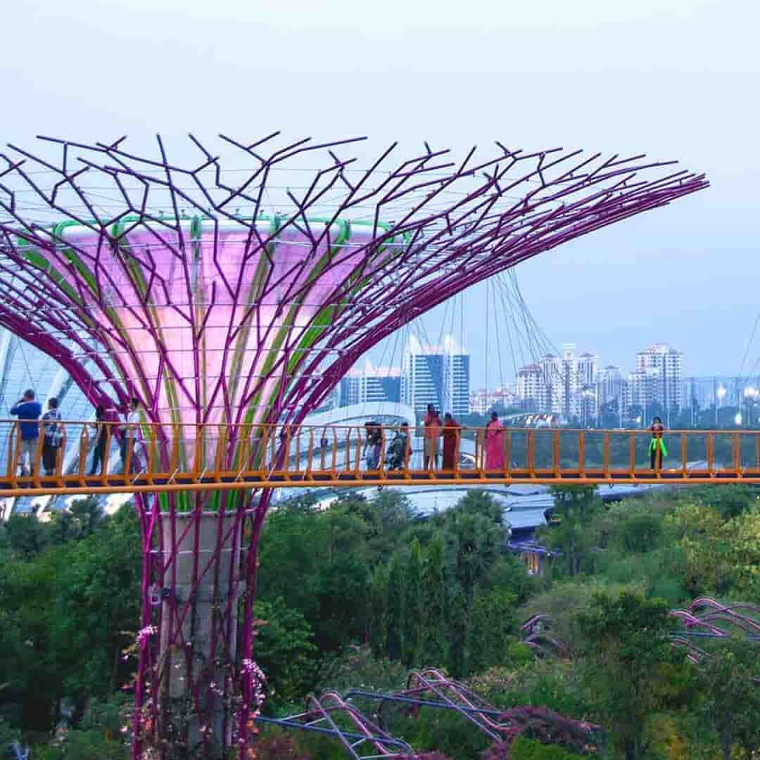 What to Expect in Gardens by the Bay: Domes, Tickets, & Promo Code